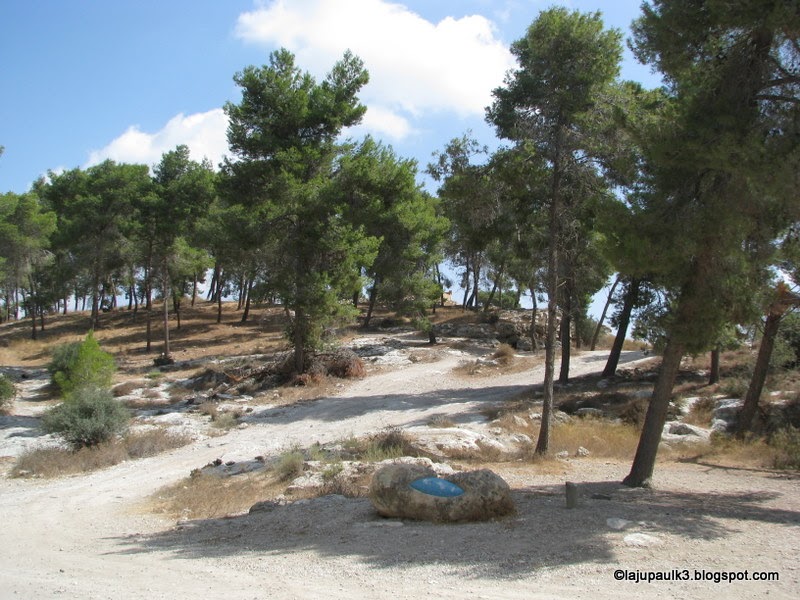 THROUGH THE LAND OF ISRAEL III: TEL TZORA or BIBLICAL ZORAH-Identified ...