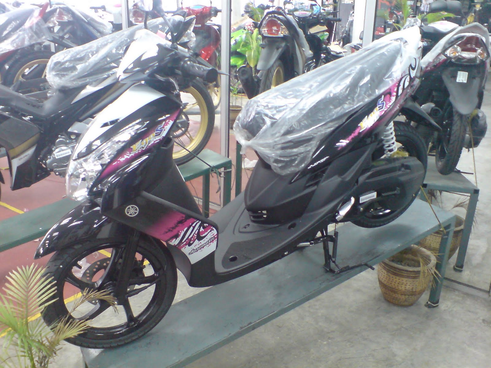 brightwillmotor