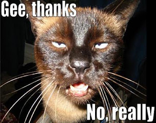 Indian Customs and Celebrations: Gee, thanks Guys