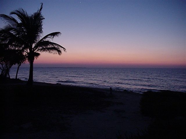 The Joy of Weddings: Happy Easter from your Cayman Islands wedding planners