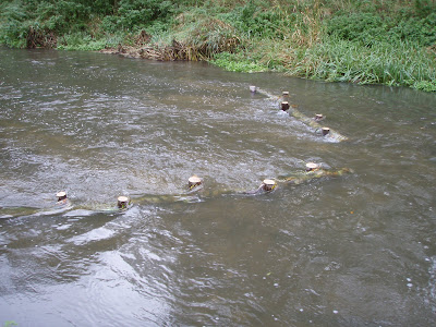 River Nadder - Casterbridge Fisheries Ltd