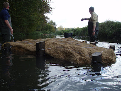 River Nadder - Casterbridge Fisheries Ltd
