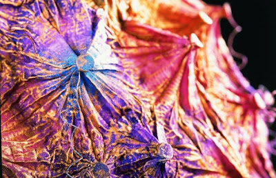 BeadBag: Shibori - Michelle Griffiths