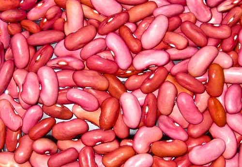 Kidney Beans: French Beans For Kidney Stone