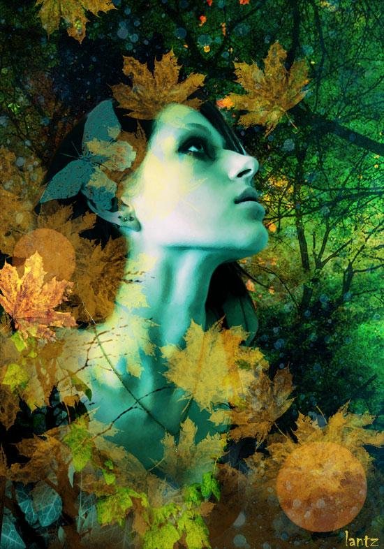 The Dryad's Diatribe: Deep and Meaningful Thoughts