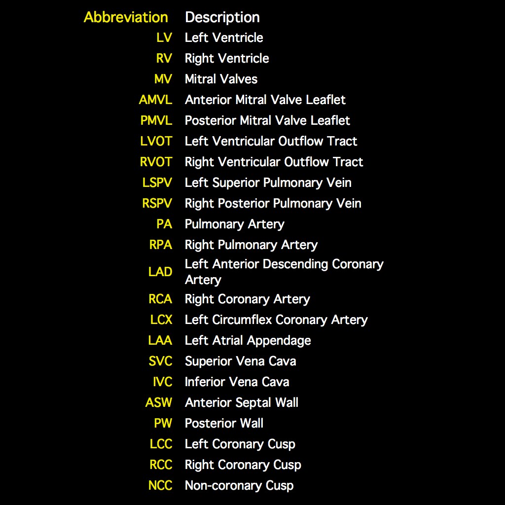 MRI BLOG: Cardiac Anatomy