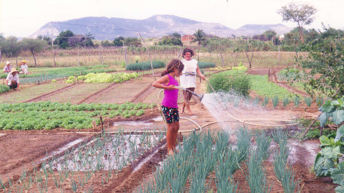 Projeto Terra 7a. B: Assentamento Rural