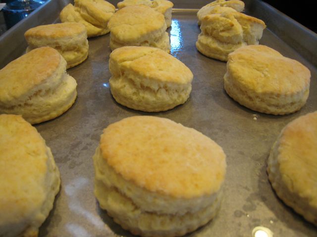 Delectalicious!: Food Processor Biscuits