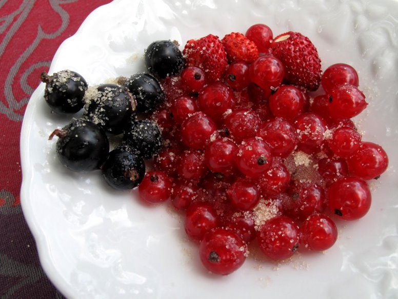 melopapilles: Récolte de fruits rouges