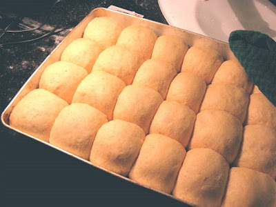 Jill's Crazy Life: Whole Wheat Pan Rolls