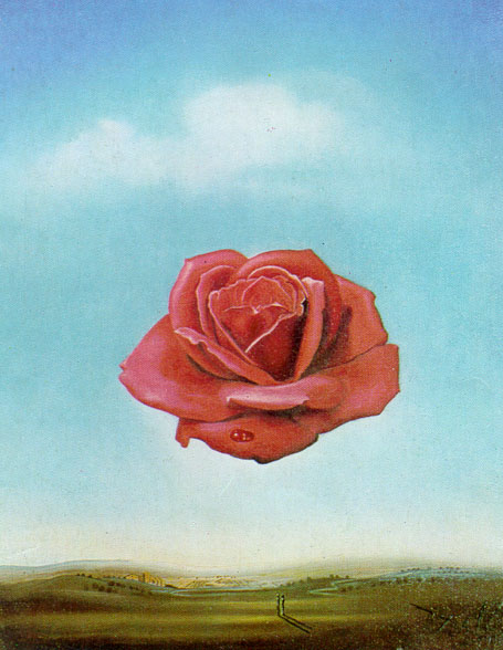 Montanha das Nove Flores: MEDITATIVE ROSE.(Salvador Dali)