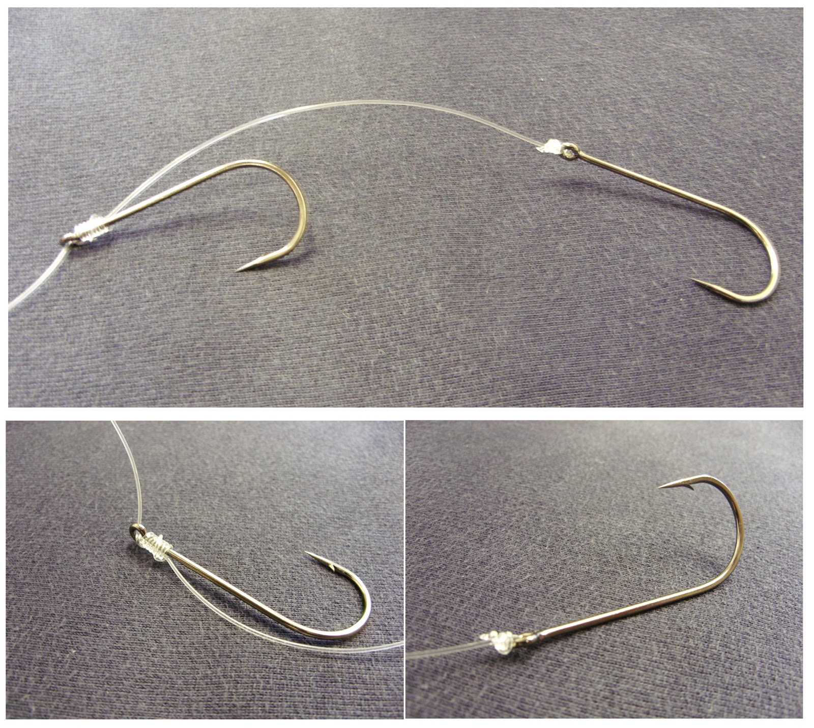 Shop News Blog:: Solent Cod