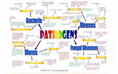 Lots Of Maps!: Concept Map