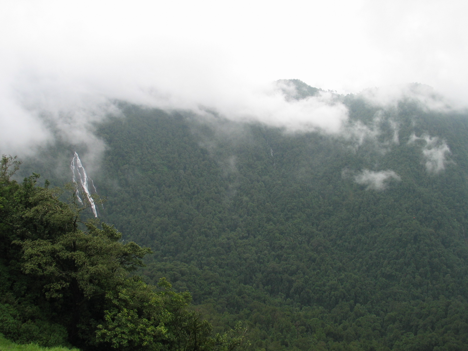 Team G Square: Waterfalls of Agumbe, Karnataka -1
