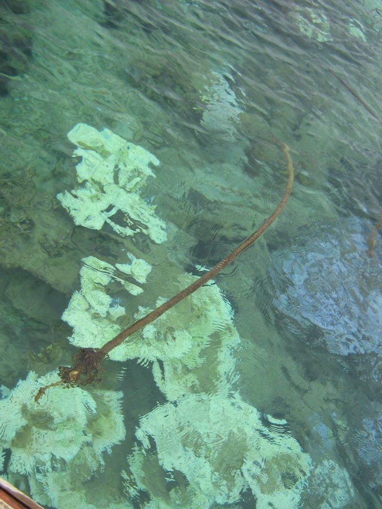 Compass of the North™: Koh Hae...Coral Island!