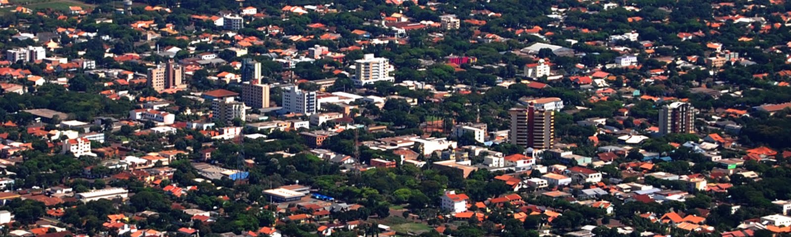 entrelinhas: Palotina, 50 anos de emancipação!