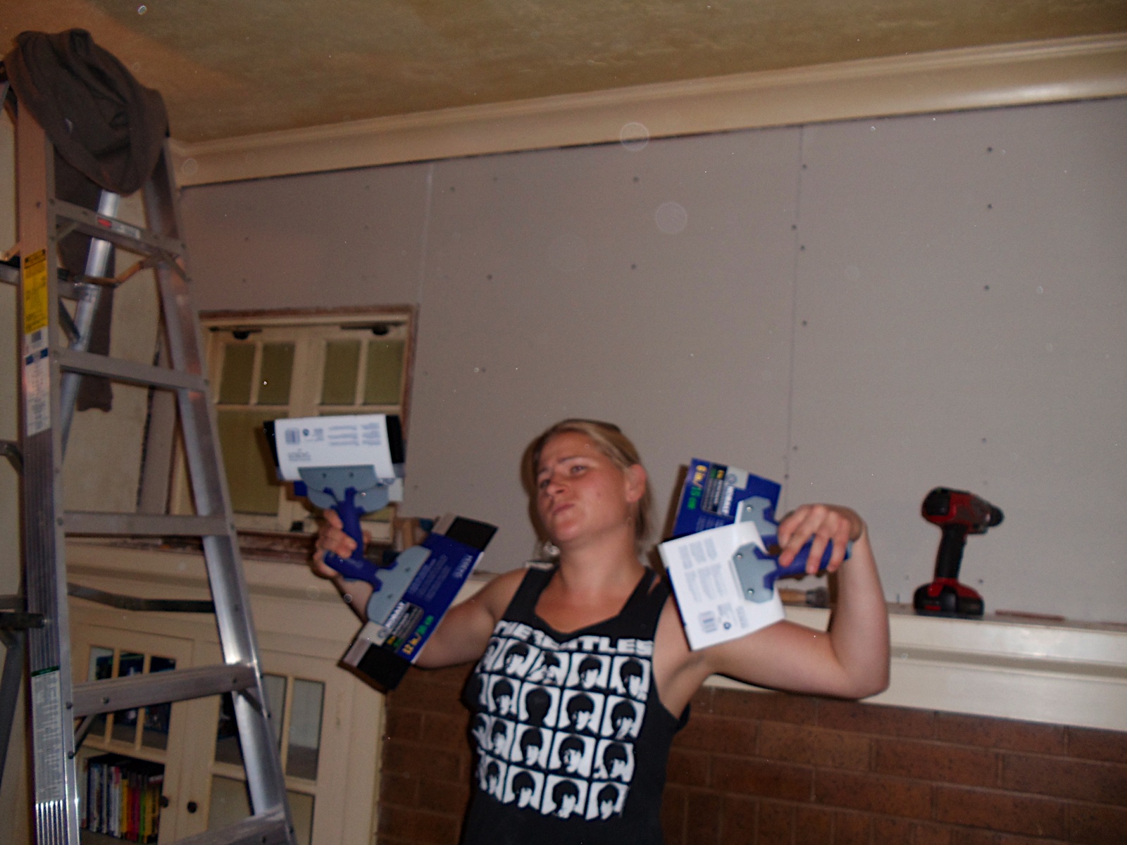 Julia & Mitch's Adventures in DIY Remodeling: Guest star: the ...