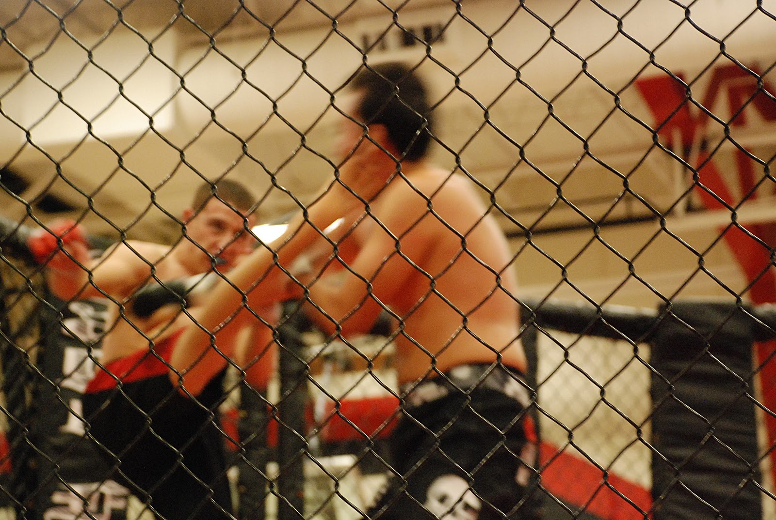 The Low Blow MMA/Boxing Podcast