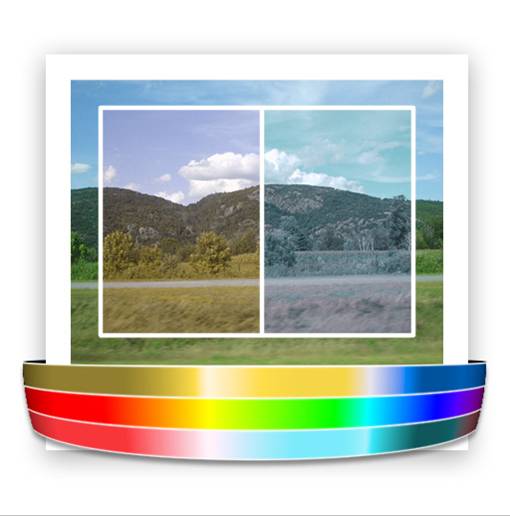 biologie12D: Mutatii Genetice, Mihalachi Serban