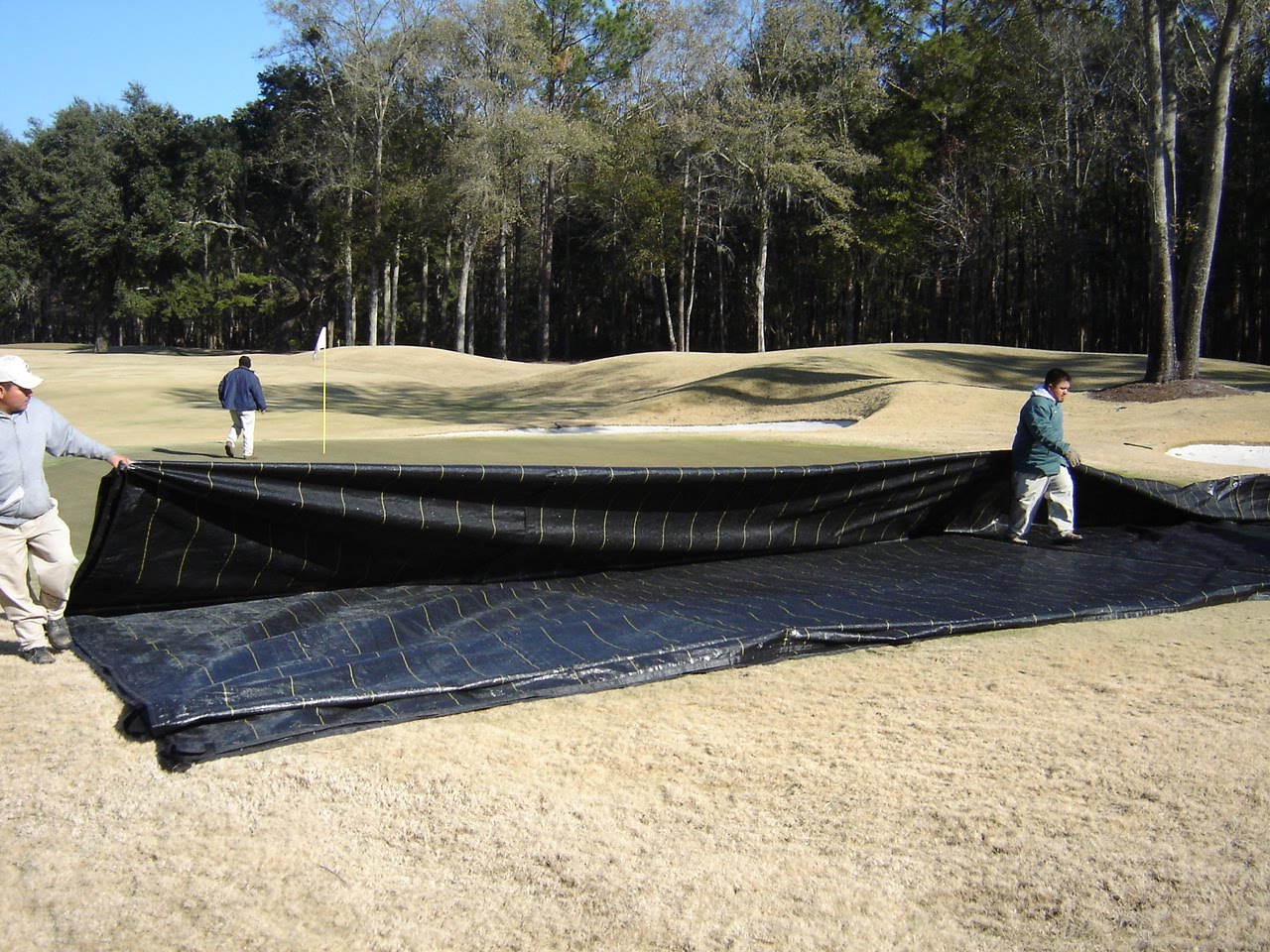 The Ford Plantation Club Agronomy Blog: Putting Green Covers Help ...