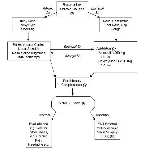 Doctors Gates: Algorithm for evaluation and treatment of sinusitis