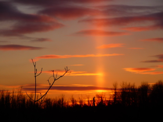 My Paintings: Solar Pillar