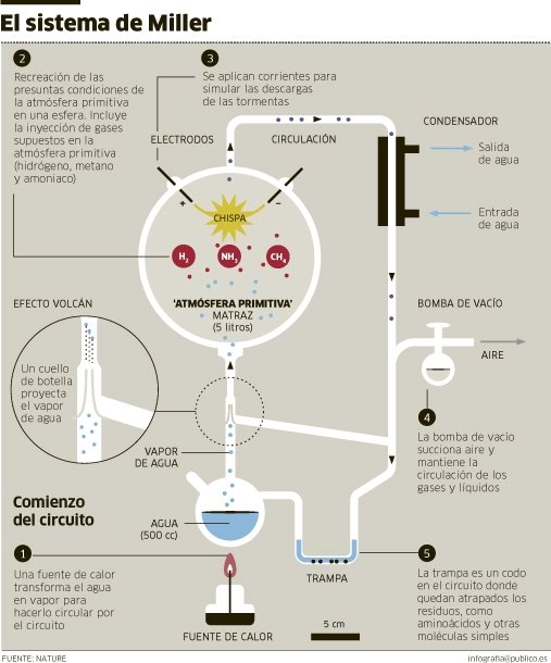Es mas importante el proceso que la solución: La teoria de Oparin ...