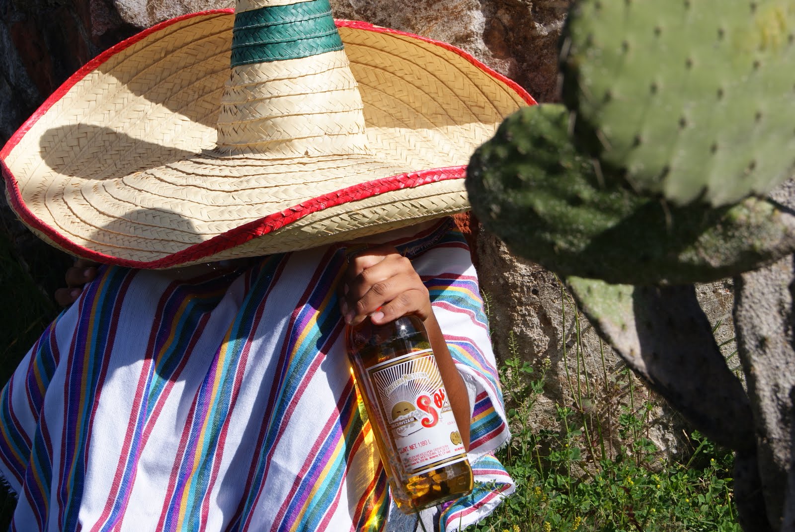 TORO ROSSO: FOTO2: "VIVA MX CHINGAO"