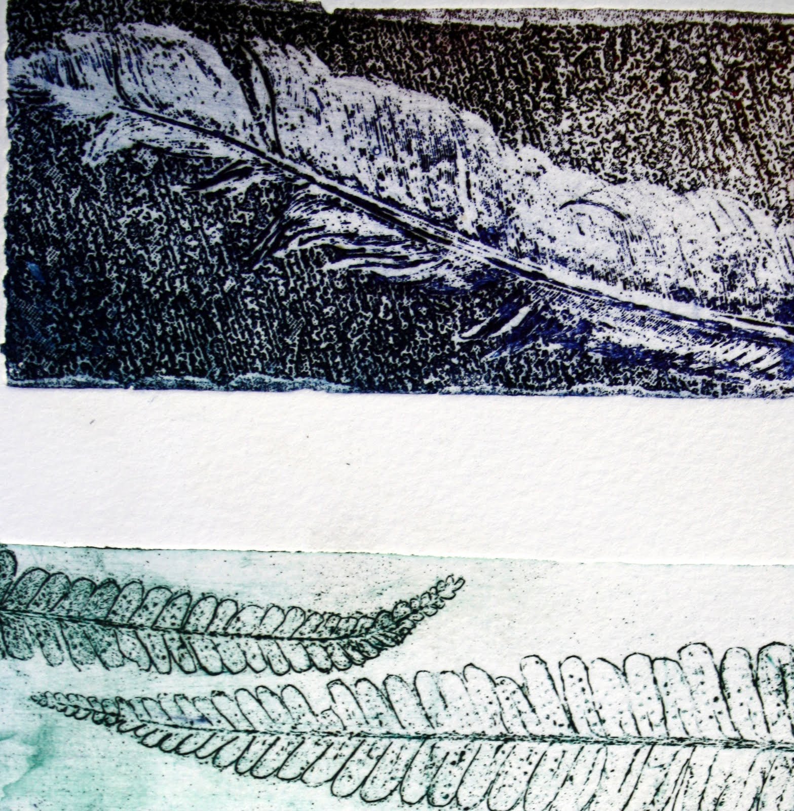 Sue Brown Printmaker: A RUMMAGE THROUGH MY DRAWERS!