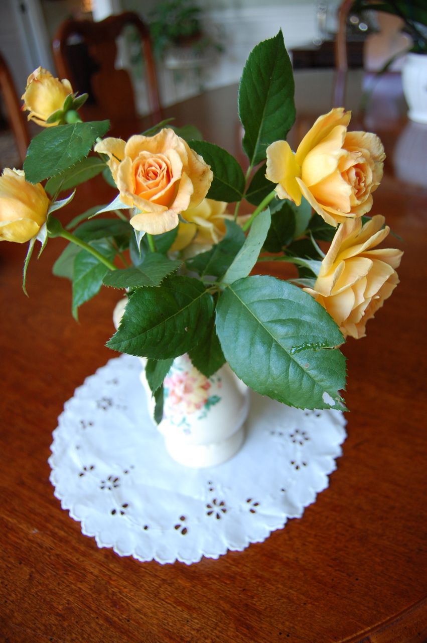 Jeannie's Fairy Rose Louisiana Garden: Beautiful Yellow Roses