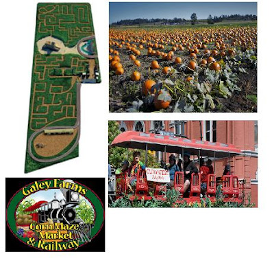 four-eyes rella: Halloween is over but I love these photos from Galey ...