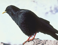 Ego solus ipse: 2007