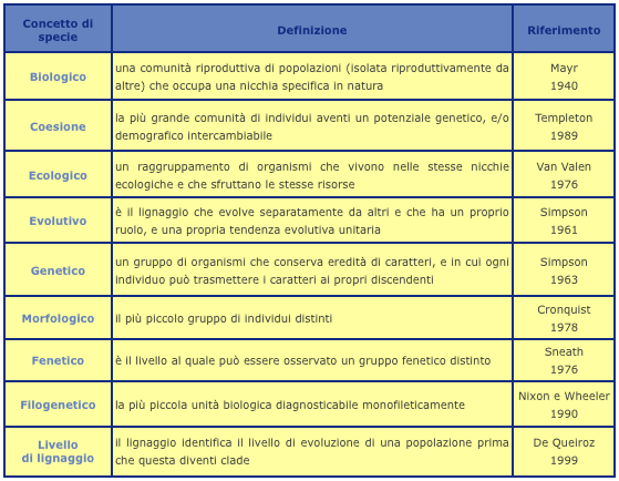 Filoevolutivo