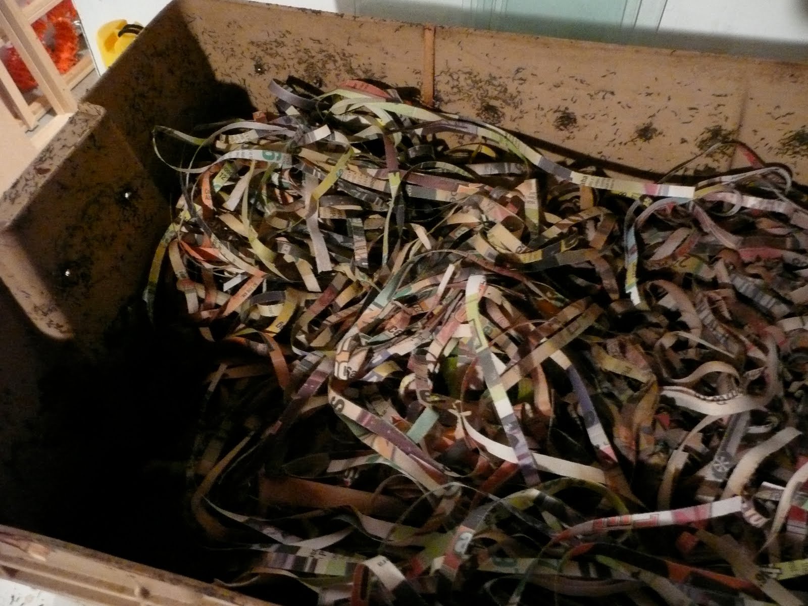 sew green: Worm Keeping for Beginners