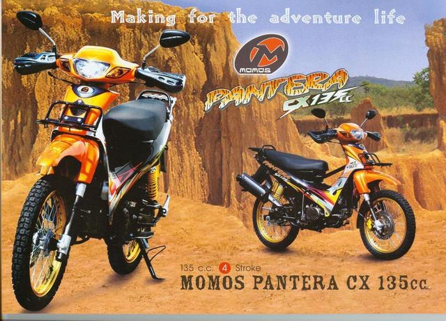 Momos Pantera