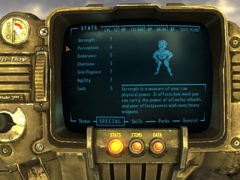The PC Gamer Guy's Blog: Fallout New Vegas: How to level up a good ...