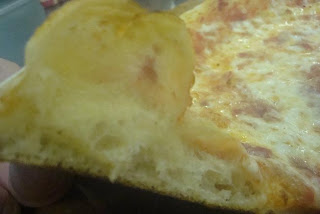 Learning Knowledge to Make Pizza: Milk Kefir poolish Pizza with added ...