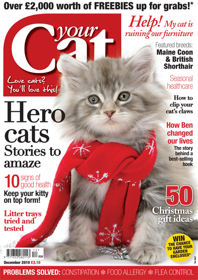 Your Cat Cover Gallery 2010