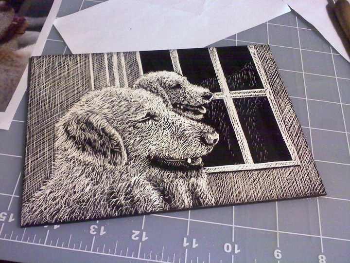 Brad Albright Illustration Blog: Dog Portrait - Scratchboard Tutorial pt 4