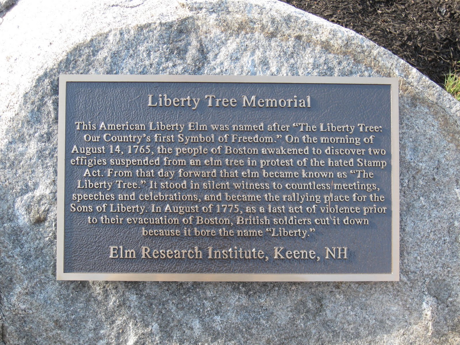 Da Da Da Da Life Goes On*: Waterin' The Liberty Tree