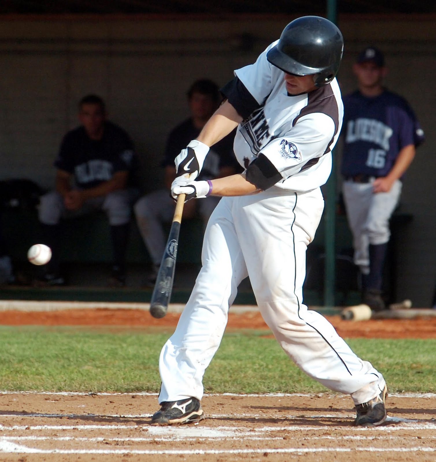 The Morning Journal Blogs: Ironmen At Bat: June 2010