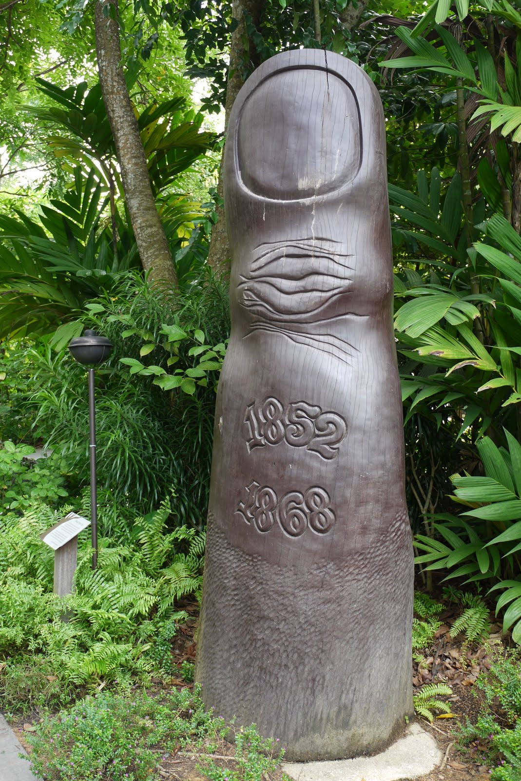 Sawpo's: Changi Tree @ Singapore Zoo