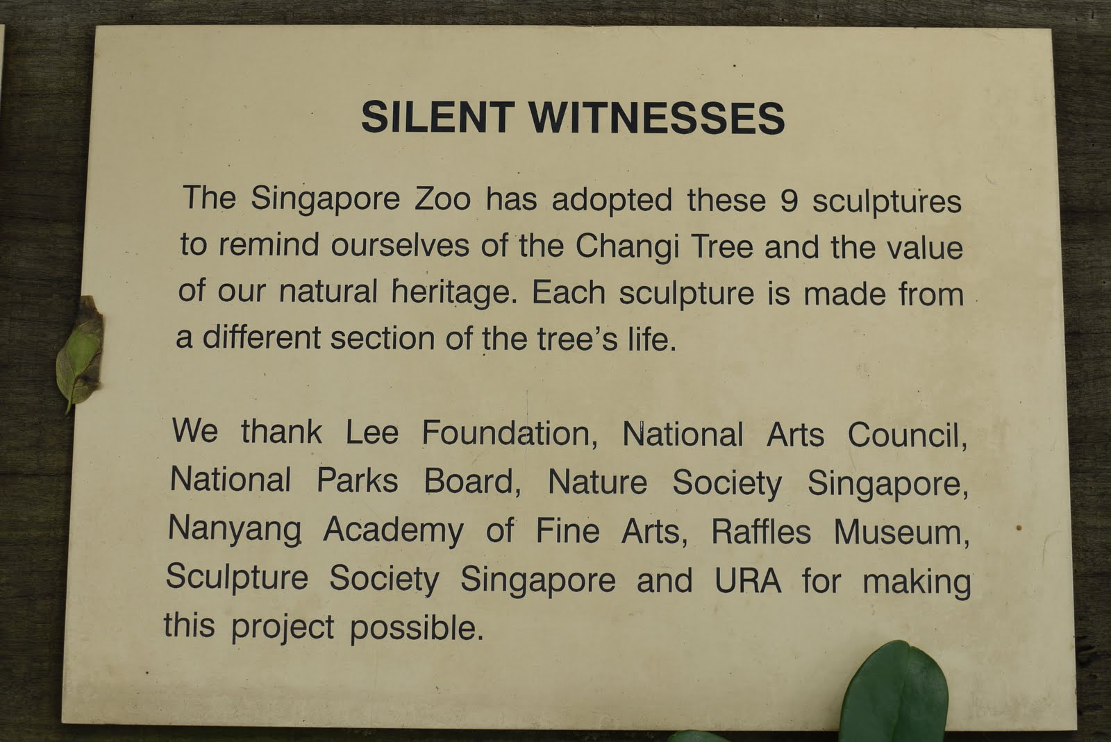 Sawpo's: Changi Tree @ Singapore Zoo