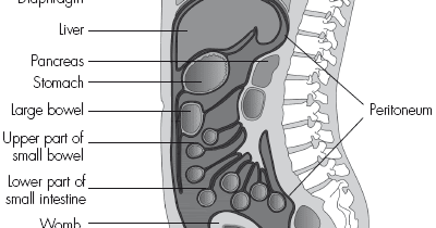 healthyforyou: Peritoneal Mesothelioma Survival Rates.