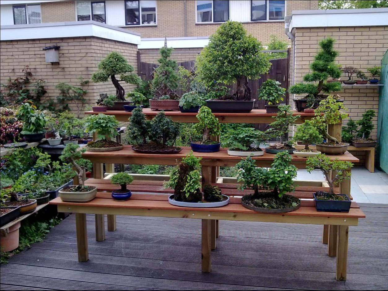 Mikobonsai Articles Building A Bonsai Bench