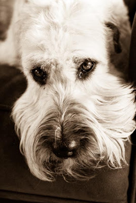 Valentina Vitols Photography and Creative Writing