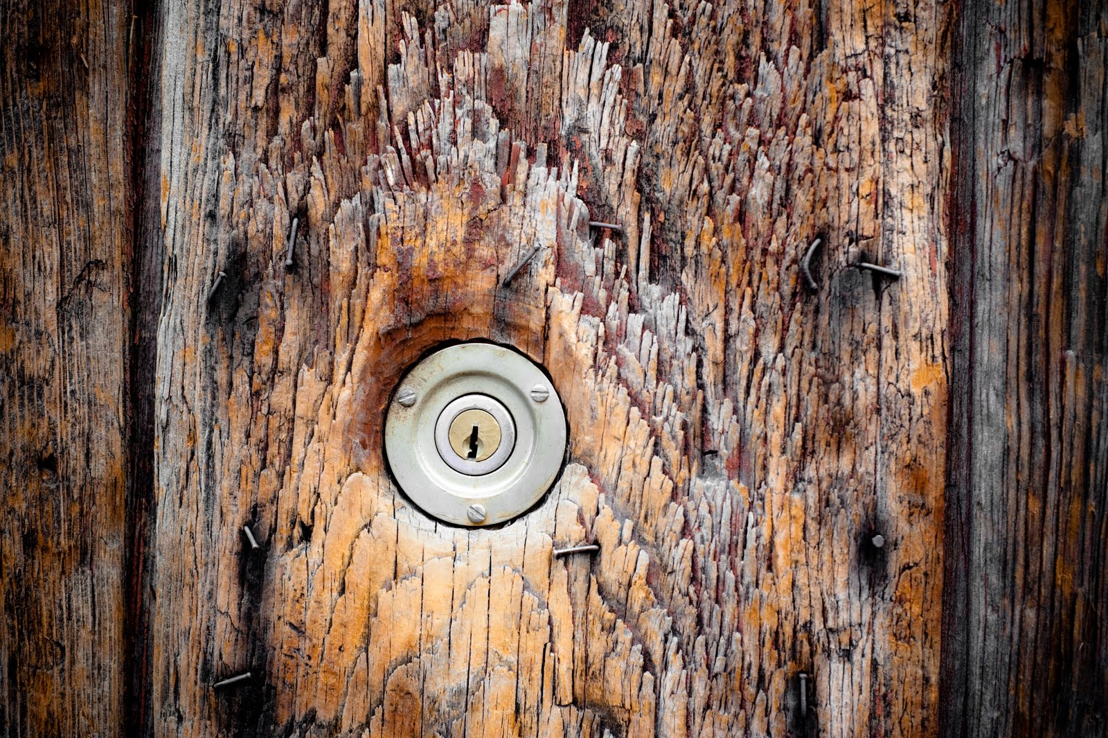 Valentina Vitols Photography and Creative Writing