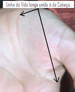 Ler na Mão: A LINHA DA VIDA LONGA E A LINHA DA VIDA CURTA