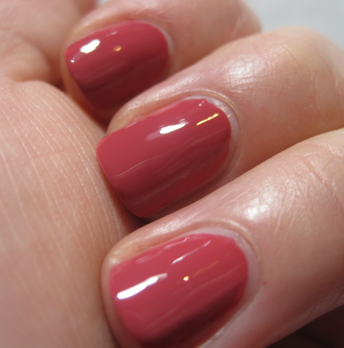 Swatches of American Apparel New Colors | My Lucid Bubble