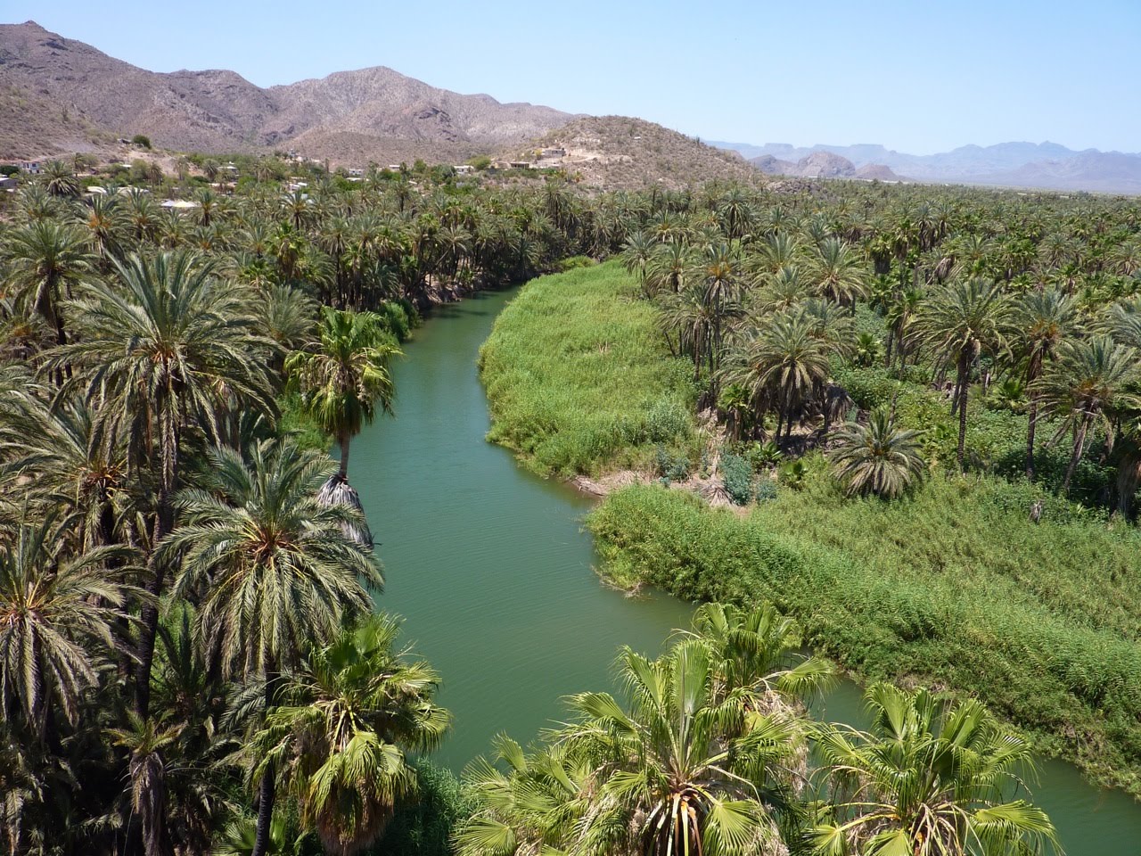 Voyage of Kiri: The Great Floods of Mulegé